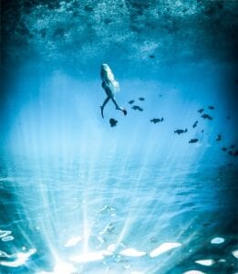 The Quick and Easy Freediving Manual and Breath Holding Techniques ...