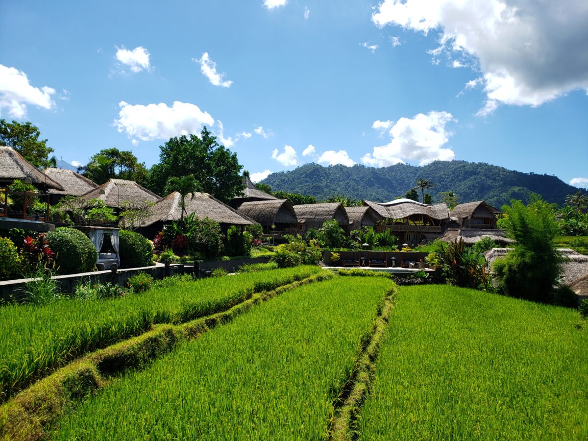 Moving to Bali | 15 Easy Steps, 41 Tips, and a Quick Guide to Living ...