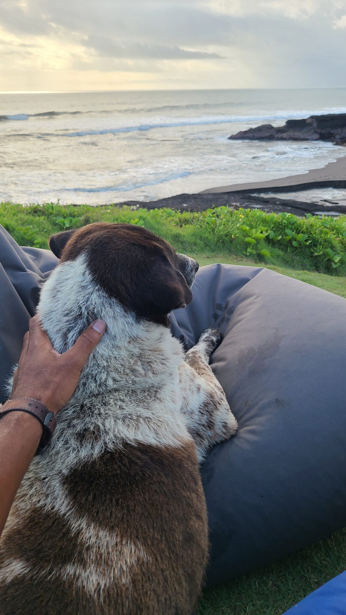 The Complete Guide to Moving to Bali as a Foreigner: Costs, Pros and ...