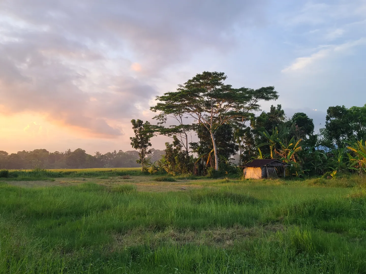 Moving to Bali | 15 Easy Steps, 41 Tips, and a Quick Guide to Living ...