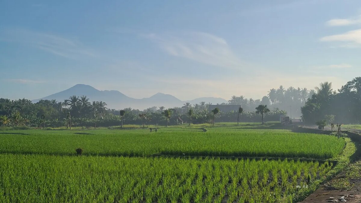 The Complete Guide to Moving to Bali as a Foreigner: Costs, Pros and ...
